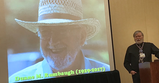 Div. 3 at the Southeastern Psychological Association (SEPA) Annual Meeting