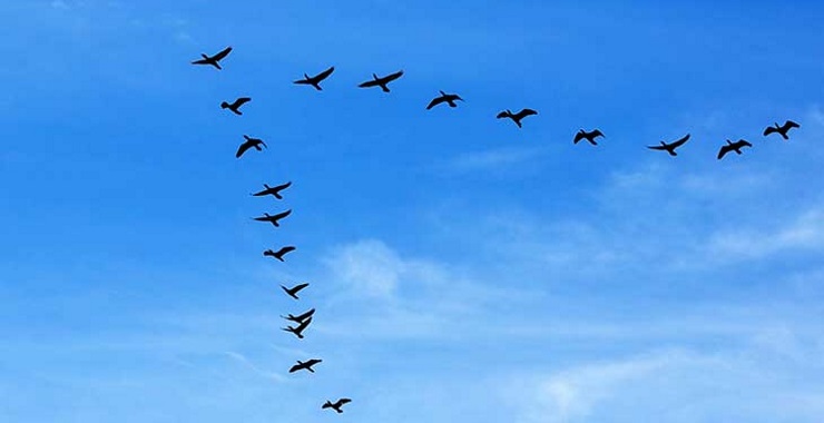 A bird’s eye view of Div. 20