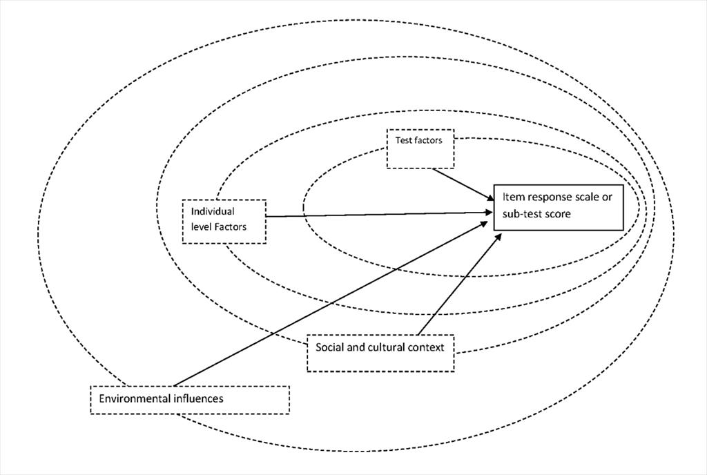 Looking through the lens of Differential Item Functioning (DIF ...