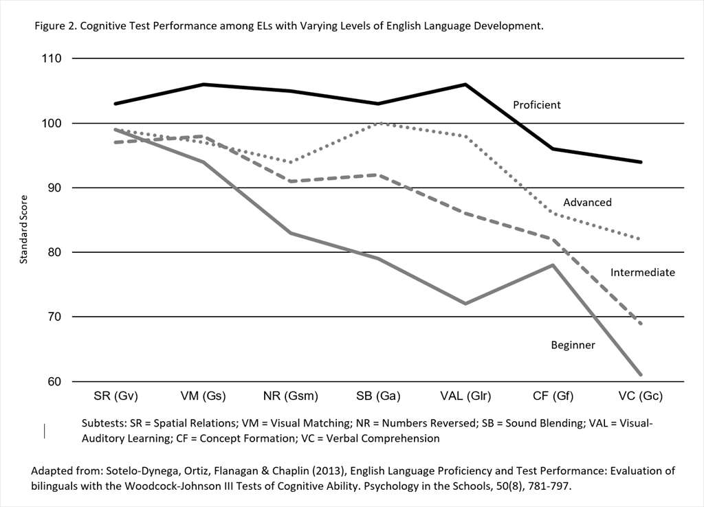 Fairness in tests and test score interpretation with English learners