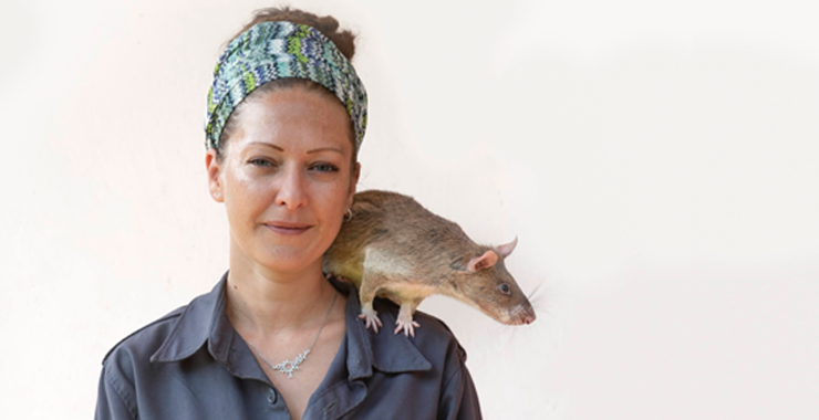 The Behavioral Neuroscientist and Comparative Psychologist