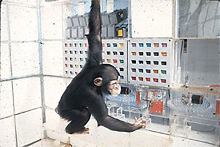 History matters: Traveling companions