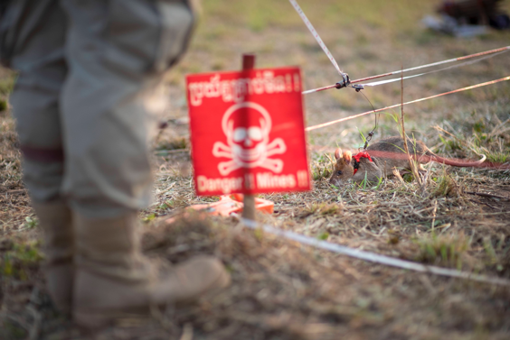 Spotlight on an Early Career Psychologist: Cindy Fast, PhD trains ...