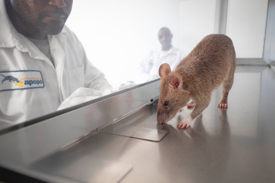 Spotlight on an Early Career Psychologist: Cindy Fast, PhD trains ...